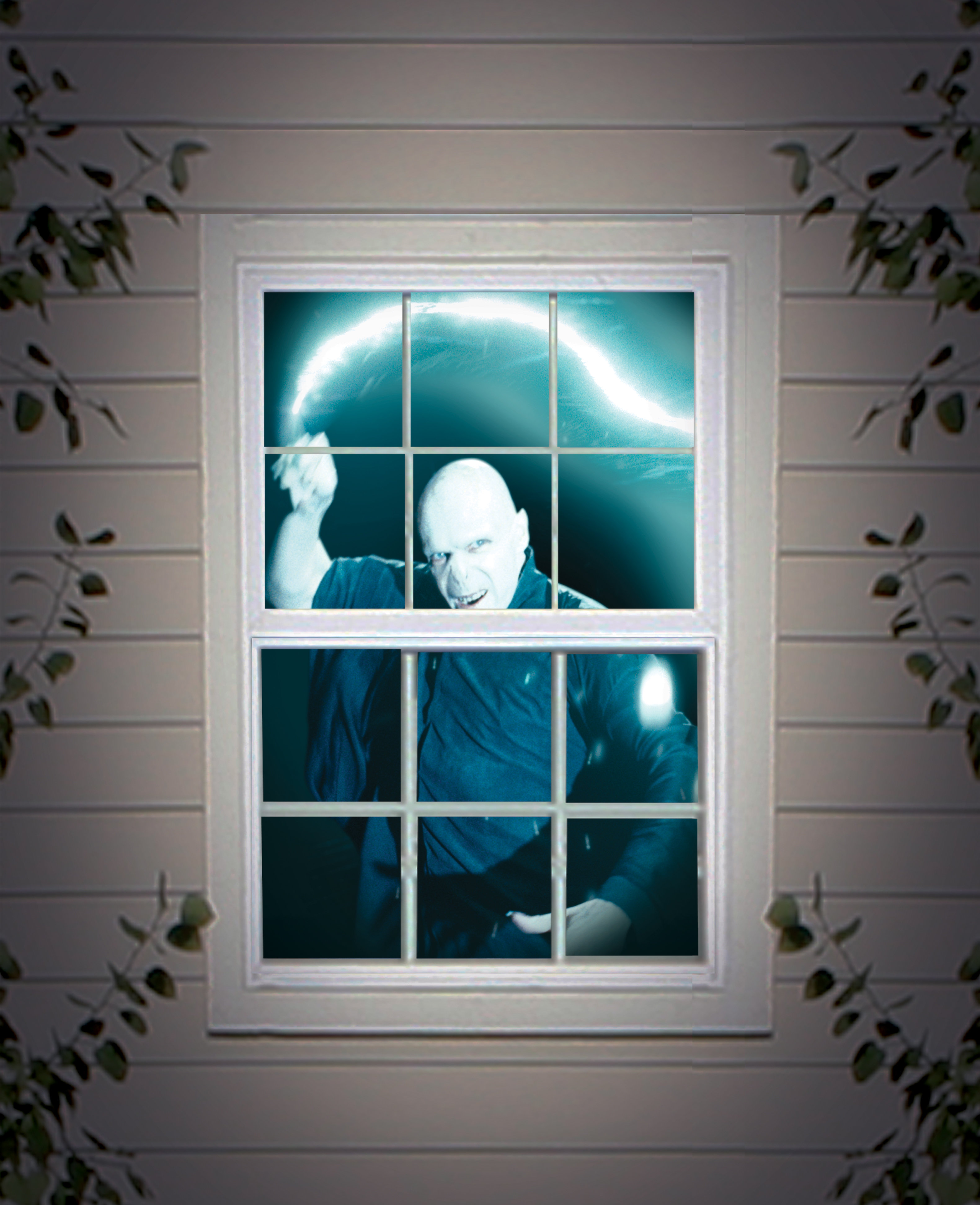 NA Harry Potter Voldemort Window Cover - Wayfair Canada