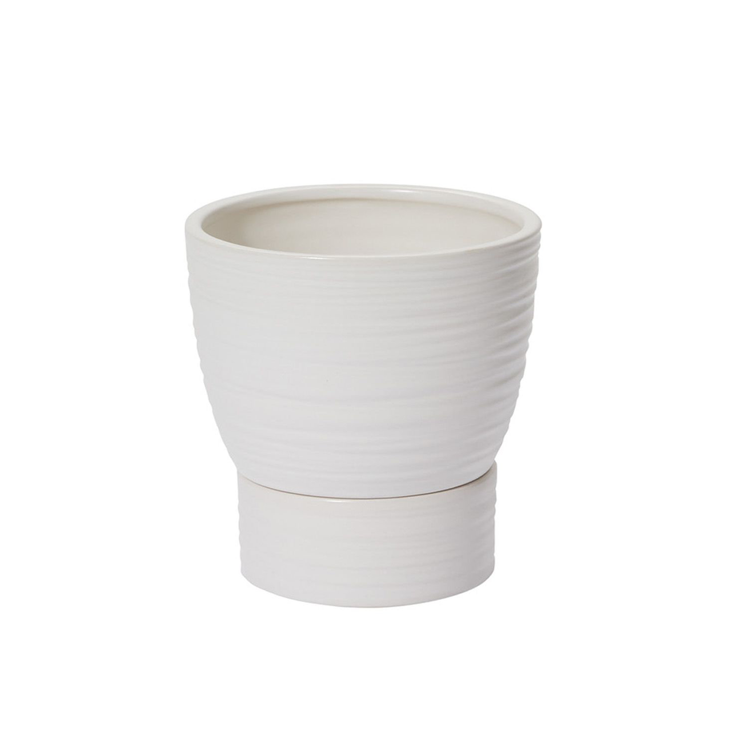 Birch Lane™ Canella Pot | AllModern
