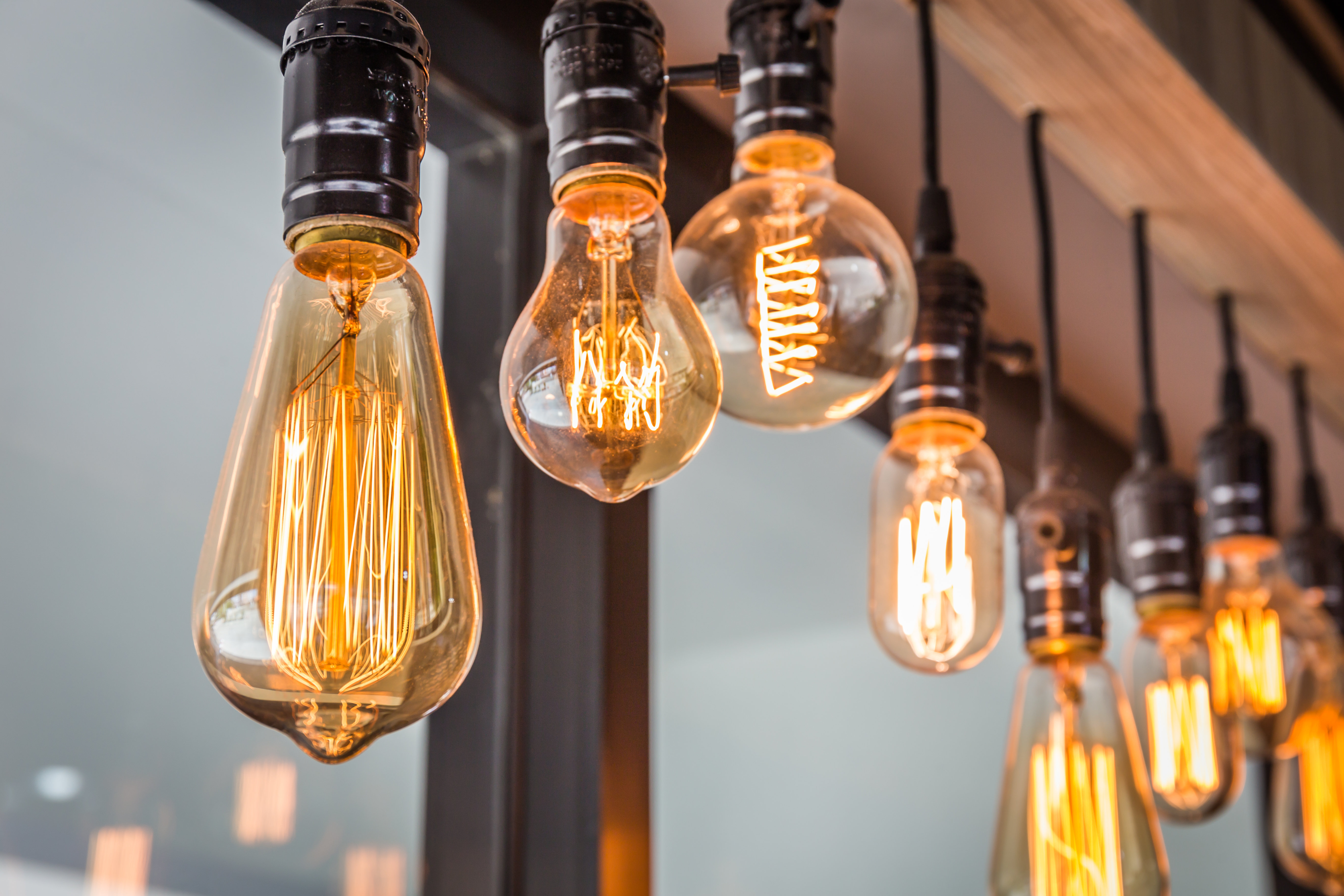 Ebern Designs Decor Bulb | Wayfair