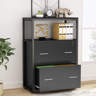 Inbox Zero 2-Drawer Lateral Filing Cabinet & Reviews | Wayfair