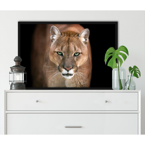 ModernMoments Gerahmter Fotodruck Menacing Puma | Wayfair.de