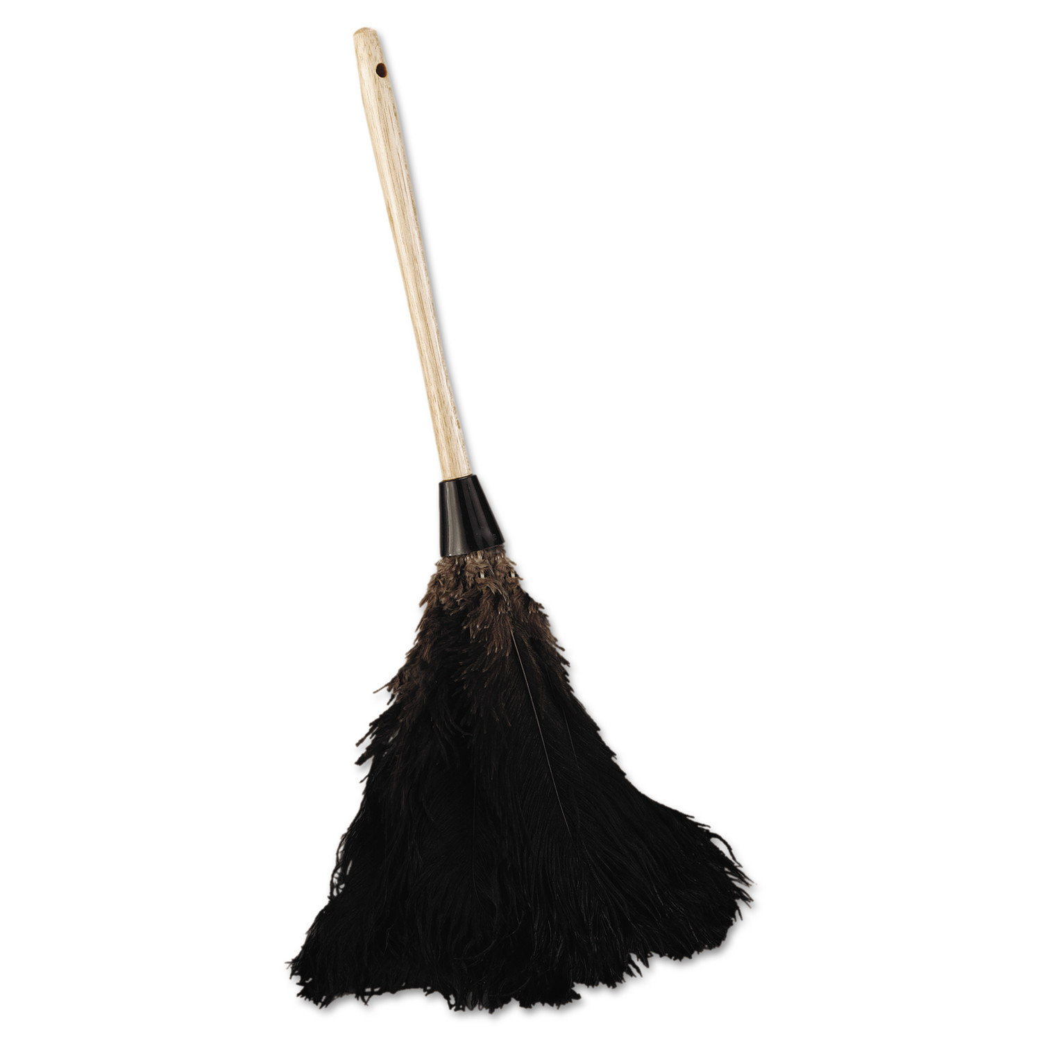 Unisan 10" Handle Professional Ostrich Feather Duster | Wayfair