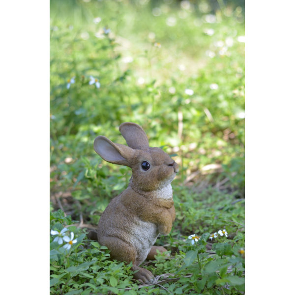 Hi-Line Gift Ltd. Standing Rabbit Statue & Reviews | Wayfair