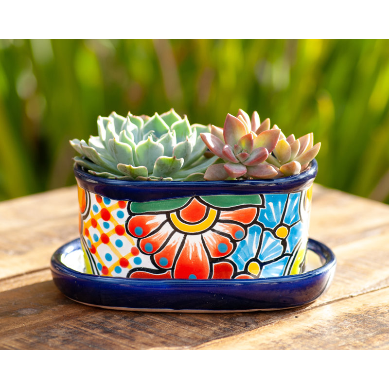 Bungalow Rose Arnol Handmade Mexican Talavera Pottery MINI Ceramic ...