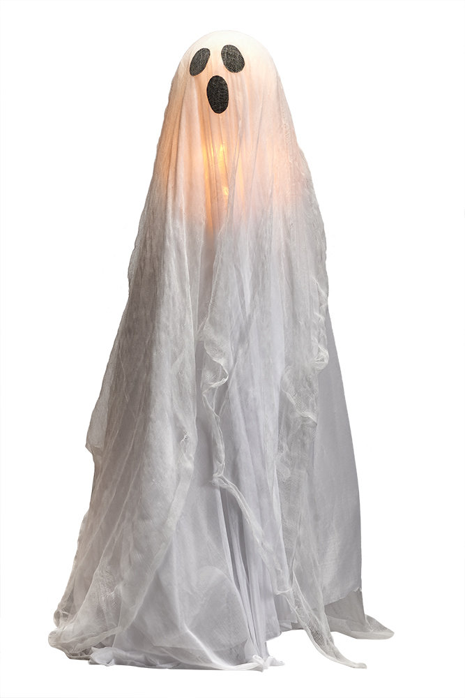 The Holiday Aisle® Glowing Ghost Lighted Display & Reviews | Wayfair