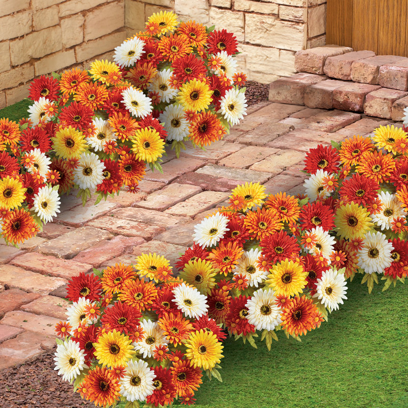 Primrue Fall Gerber Daisy Bushes Set | Wayfair