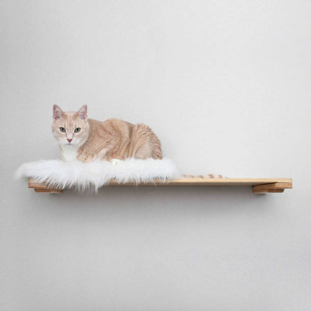 Tucker Murphy Pet™ Cy Cat Perch | Wayfair