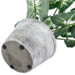 Primrue 15'' Faux Philodendron Taro Plant in Pot & Reviews | Wayfair