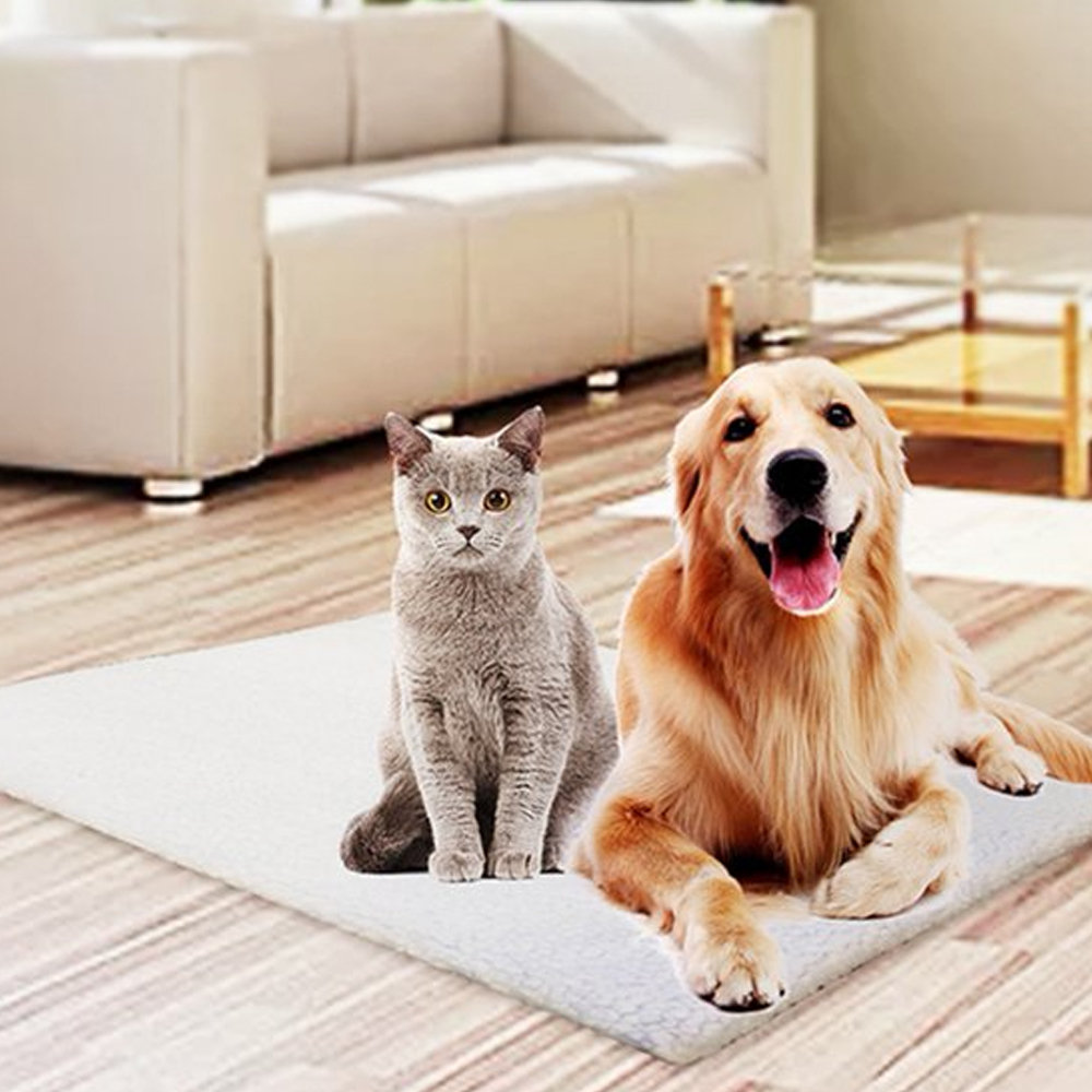 Tucker Murphy Pet™ 2 Pack Self Heated Heating Thermal Pet Cat Dog Bed ...