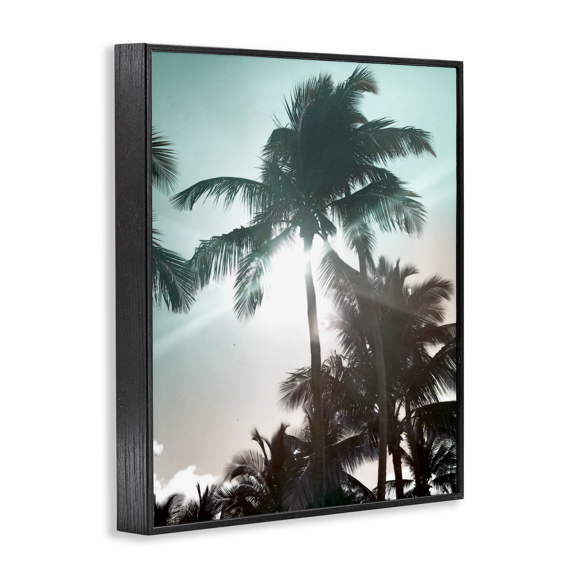 Bay Isle Home™ Shady Palm Trees Framed Giclee Art by Noah Bay | Wayfair