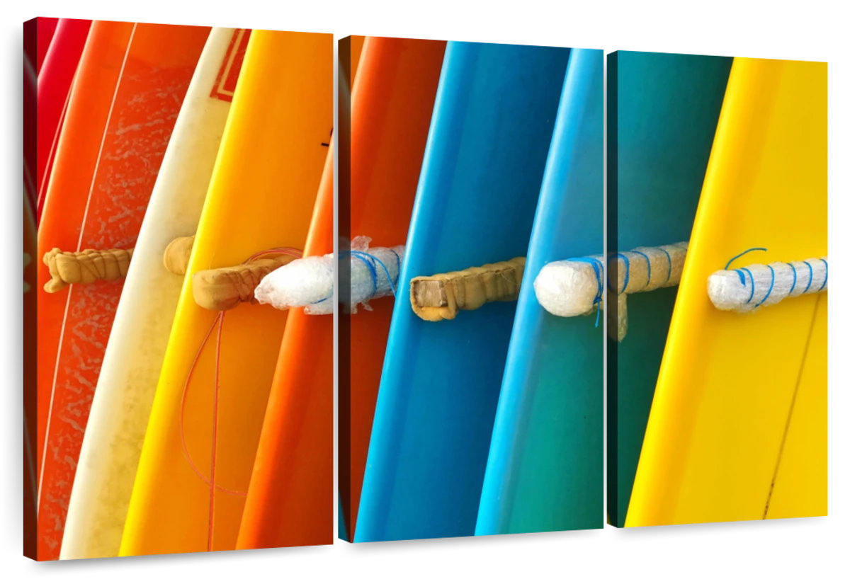 Elephant Stock Surfboard Colors | Wayfair