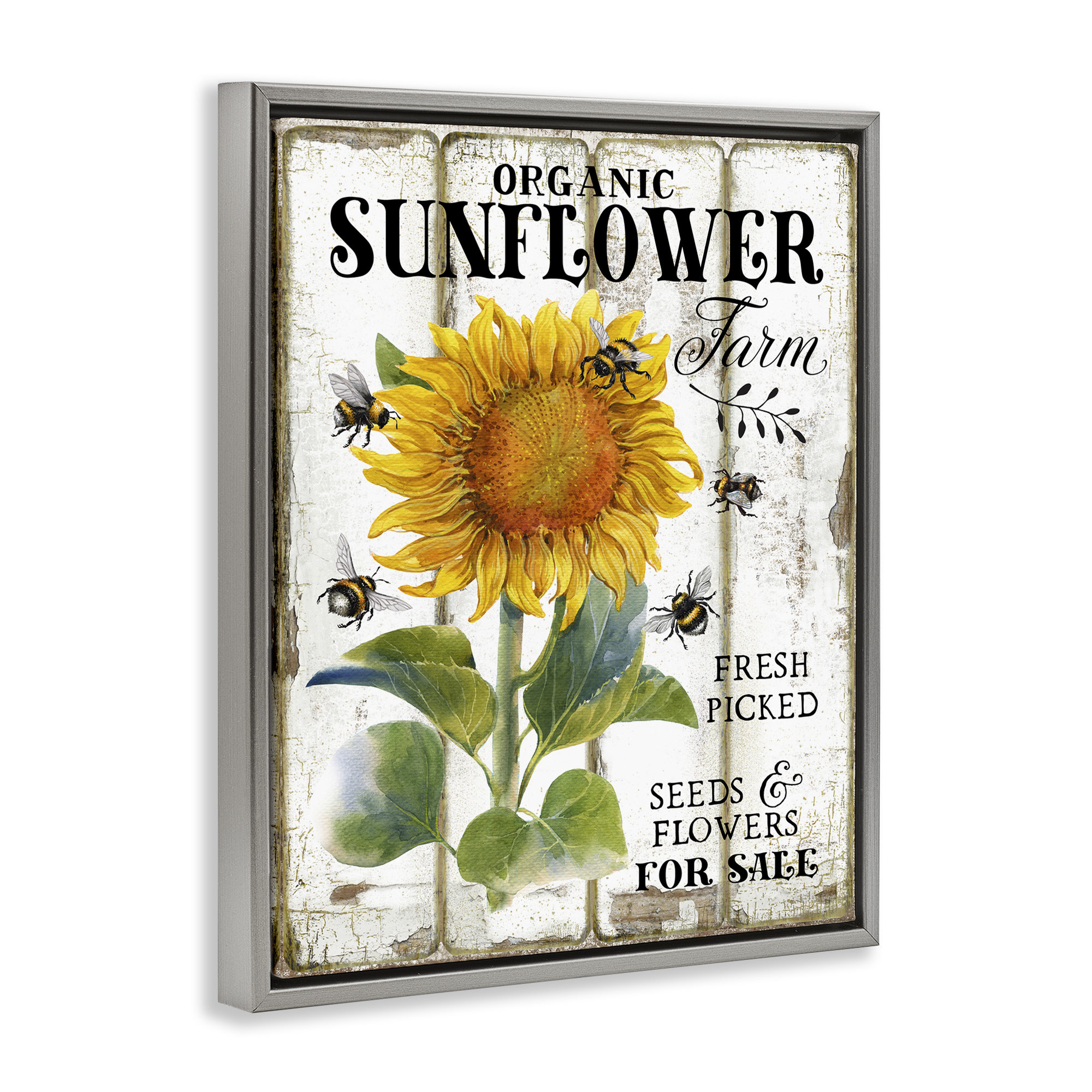 Ophelia & Co. Organic Sunflower Farm Framed Floater Canvas Wall Art by ...
