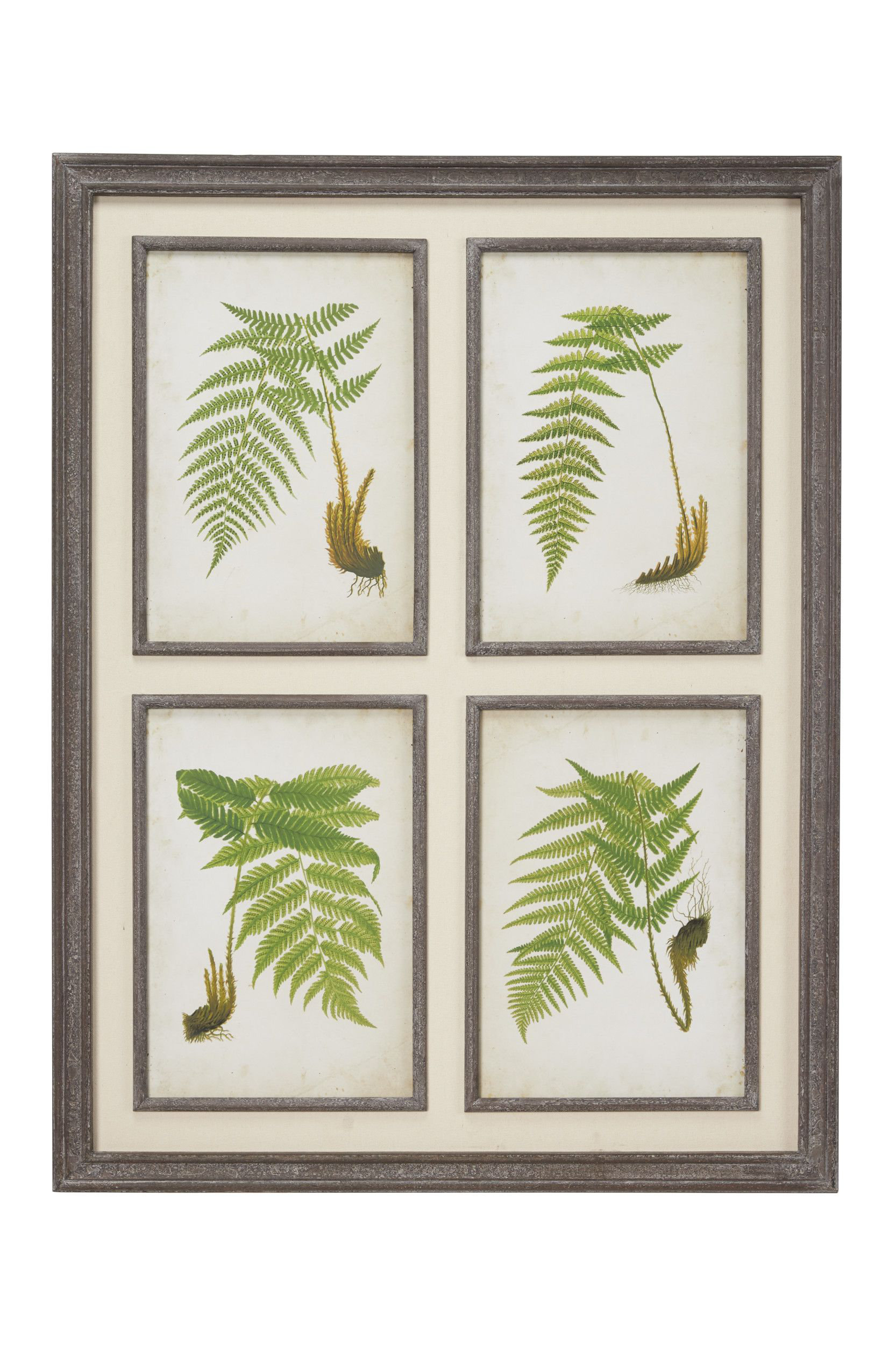 Gracie Oaks Rectangular Fern Illustrations Framed Graphic Art on Wood ...
