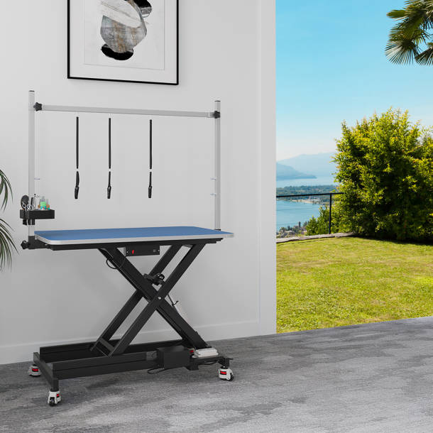 Edrosie Inc 50'' W x 26'' D Dog Electric Grooming Table & Reviews | Wayfair