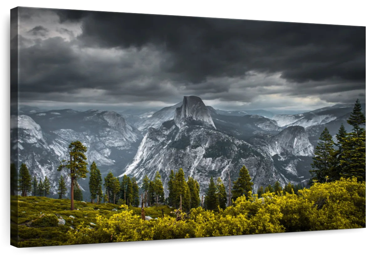 Millwood Pines Alvord Dusky Yosemite Mountains | Wayfair