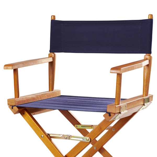 Beachcrest Home™ Somer Folding Director Chair Replacement Canvas ...