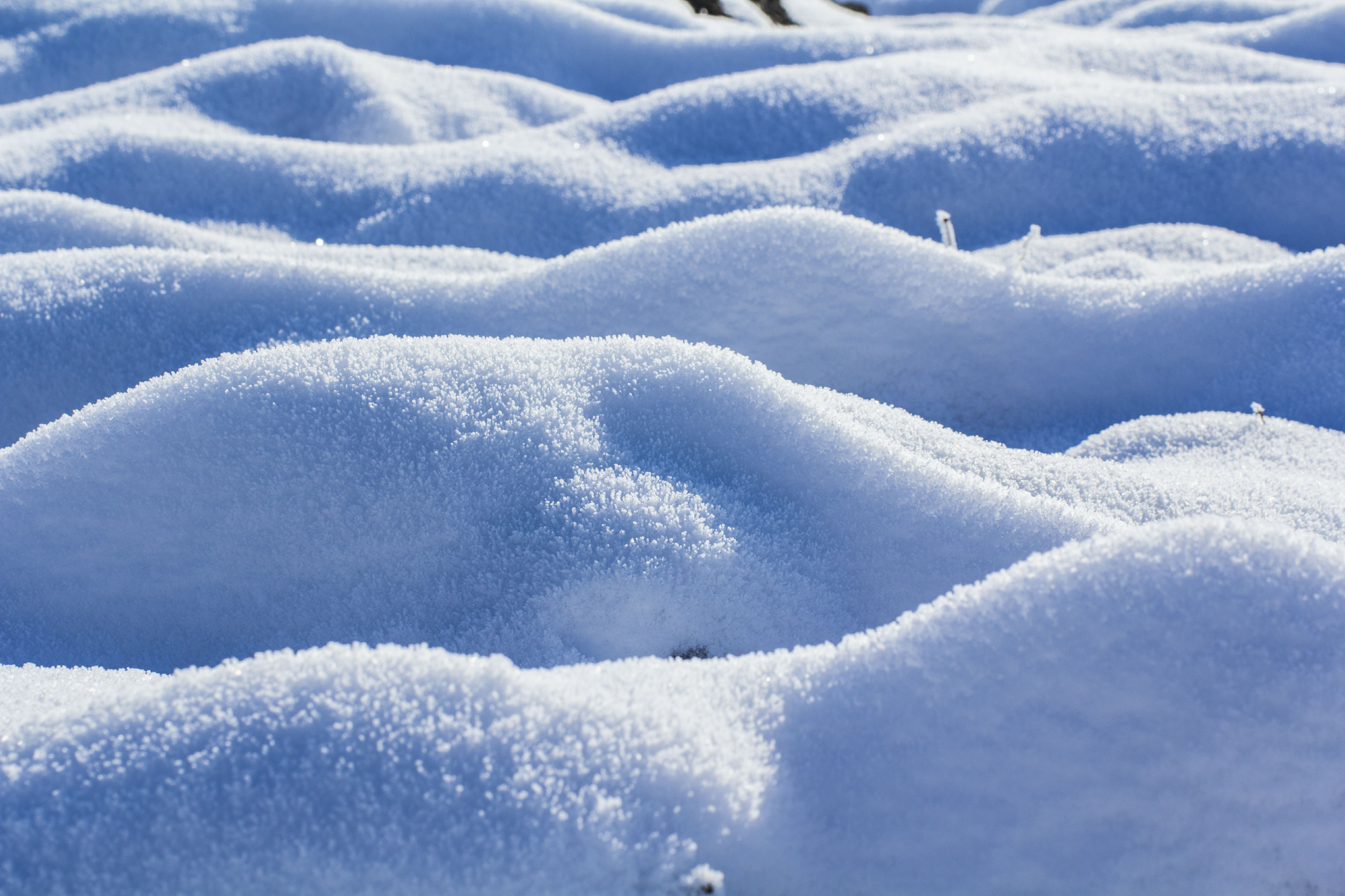 Ebern Designs Elnar Snow - Wrapped Canvas Photograph | Wayfair