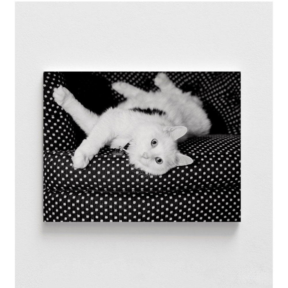 WeFrameArt Cat Home Decor, White Cat Desk Decor, Kitten Print Idea ...