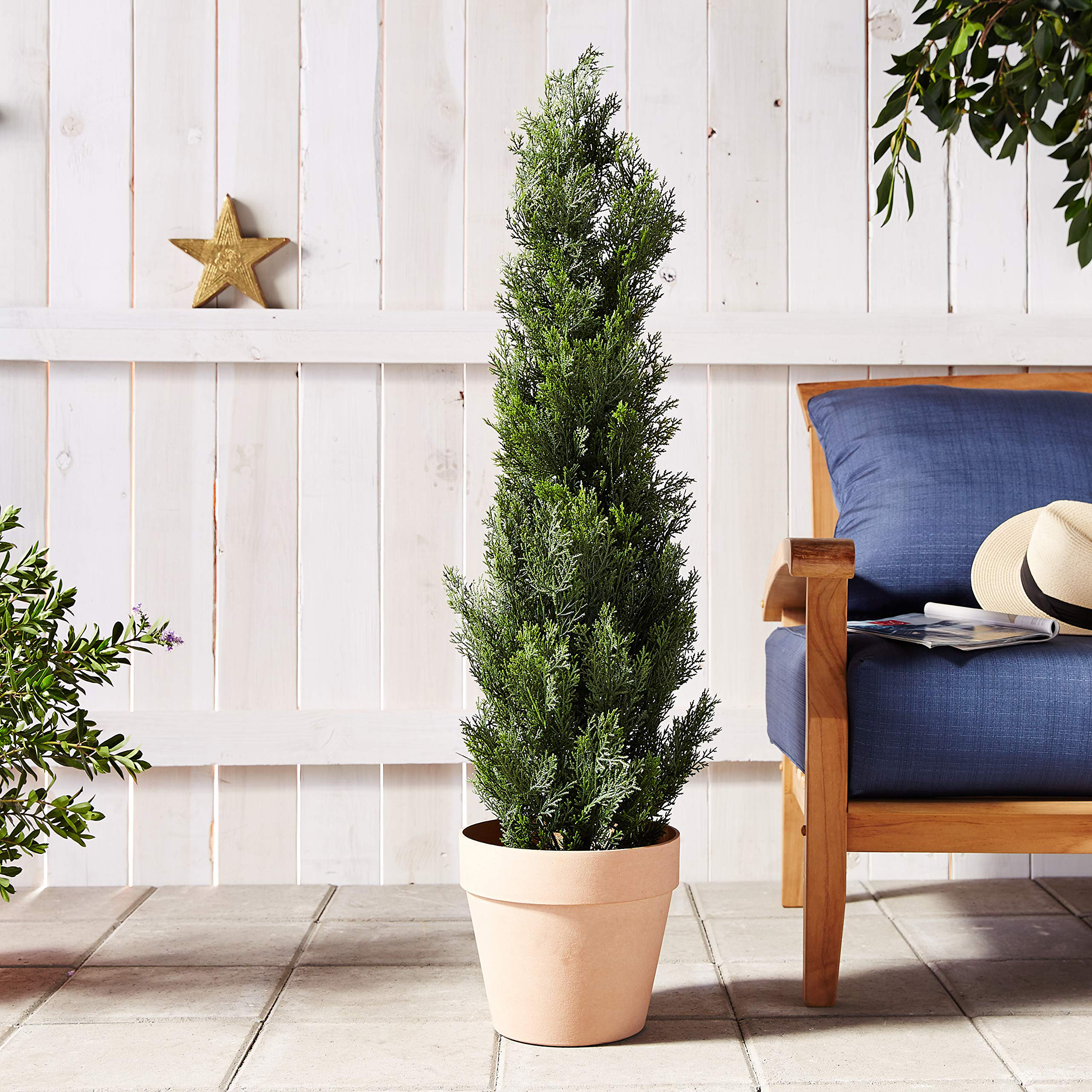 Primrue Enhance Any Space With The 48-Inch Mini Cedar Pine Tree ...