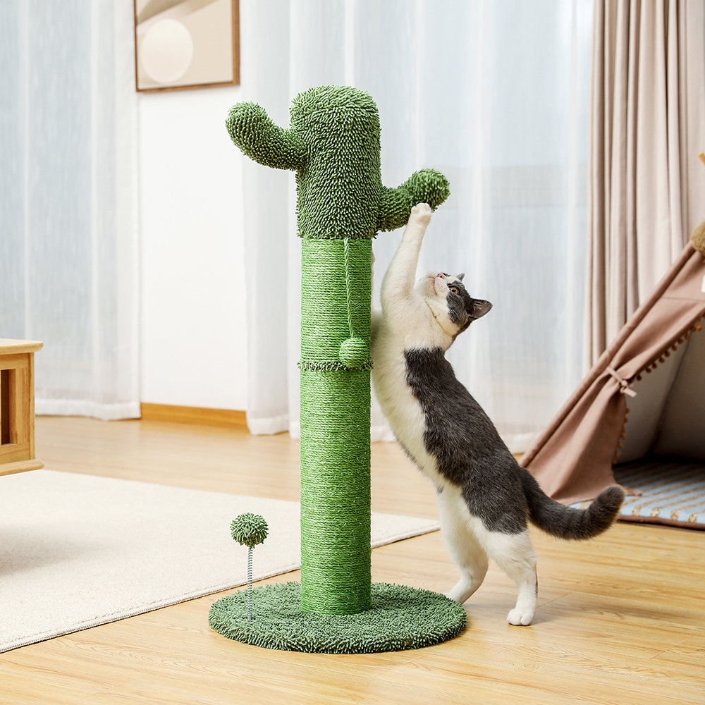 Tucker Murphy Pet™ Crae Cactus Scratching Post & Reviews - Wayfair Canada