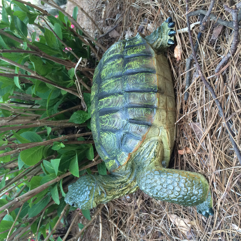 HomeStyles Call of the Wild Large Box Turtle Garden Statue & Reviews ...