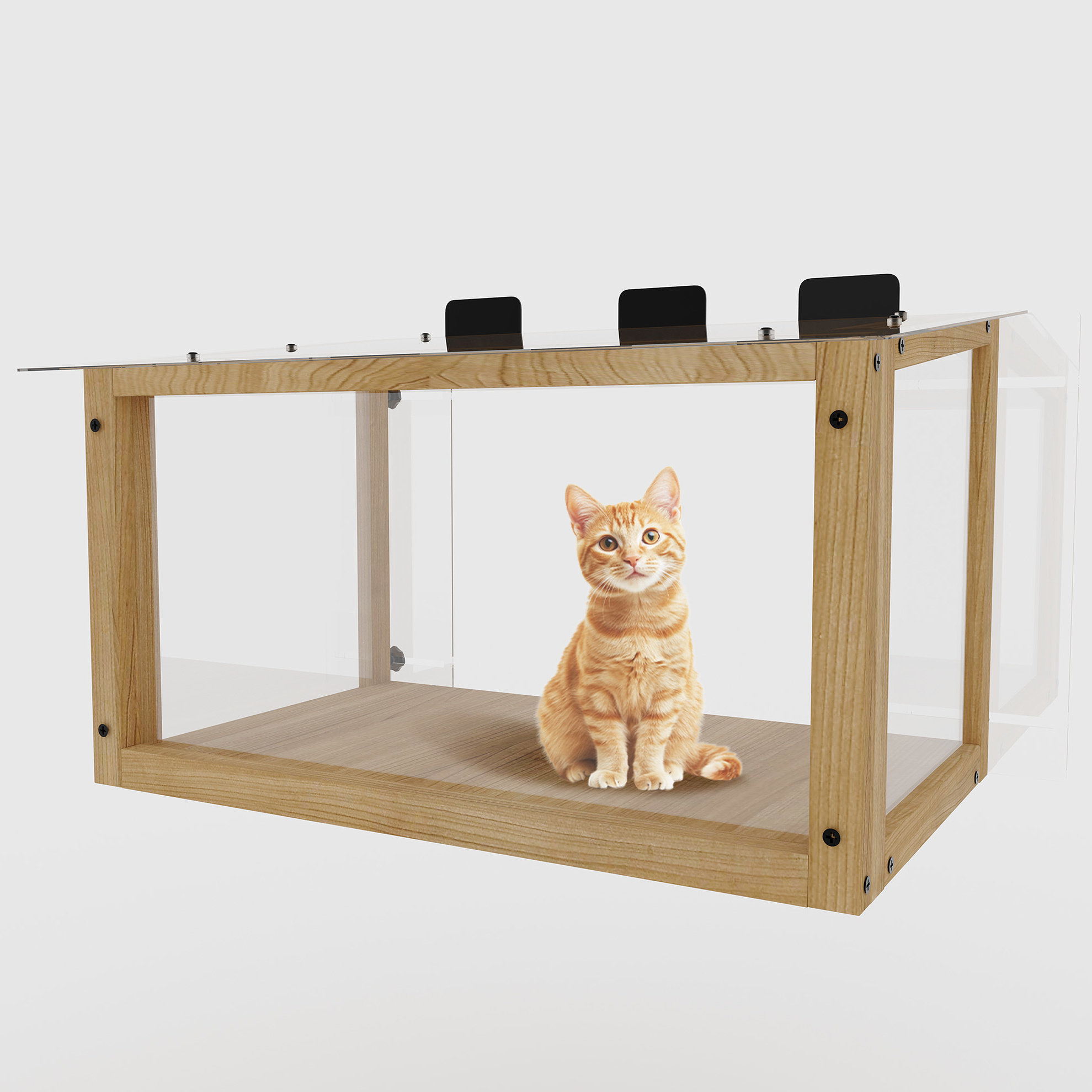 Tucker Murphy Pet™ Single Hanging Window Cat Perch, Outdoor Shelter ...