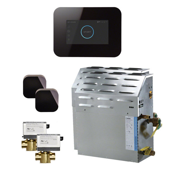 Mr. Steam 20 Steam Generator Package | Wayfair