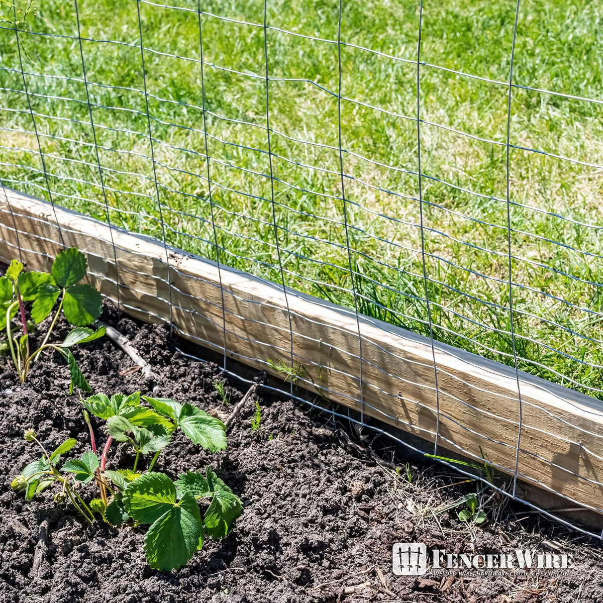 Fencer Wire 16 Gauge Galvanized Welded Wire Rabbit Guard Fence ...