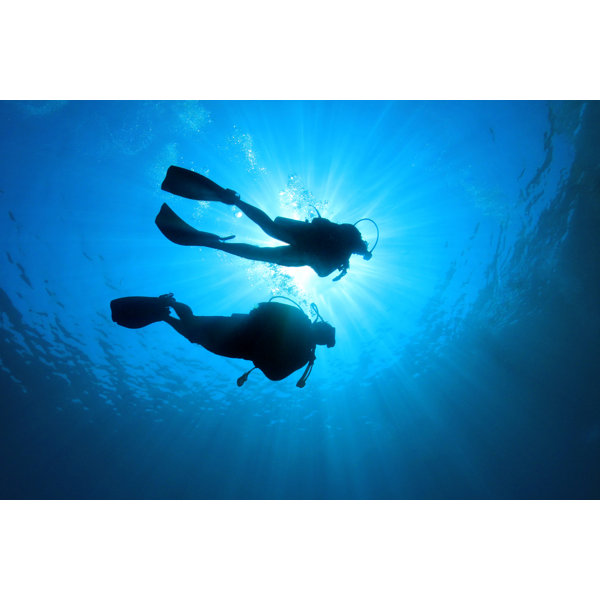 Highland Dunes Couple Scuba Diving | Wayfair.co.uk