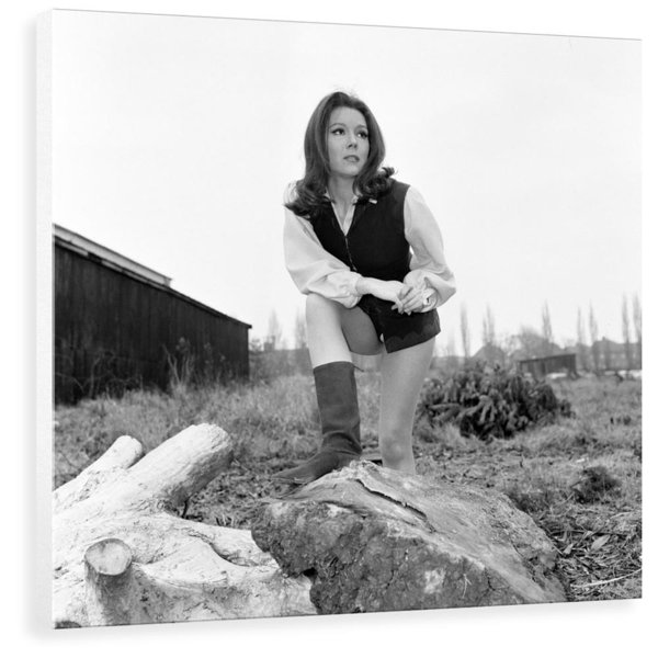 George Oliver Diana Rigg by Victor Crawshaw - Print | Wayfair.co.uk