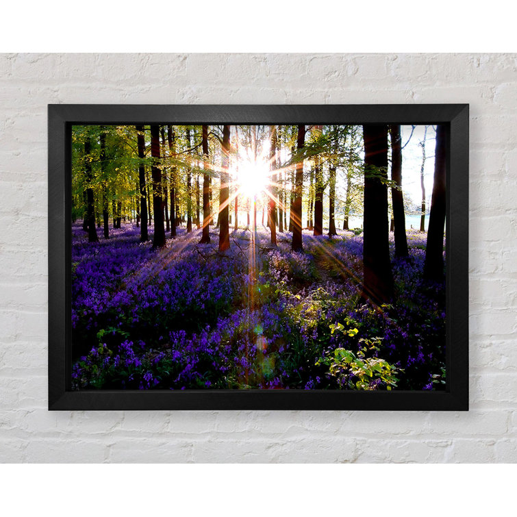 Bright Star Forest Sun God - Single Picture Frame Art Prints | Wayfair ...