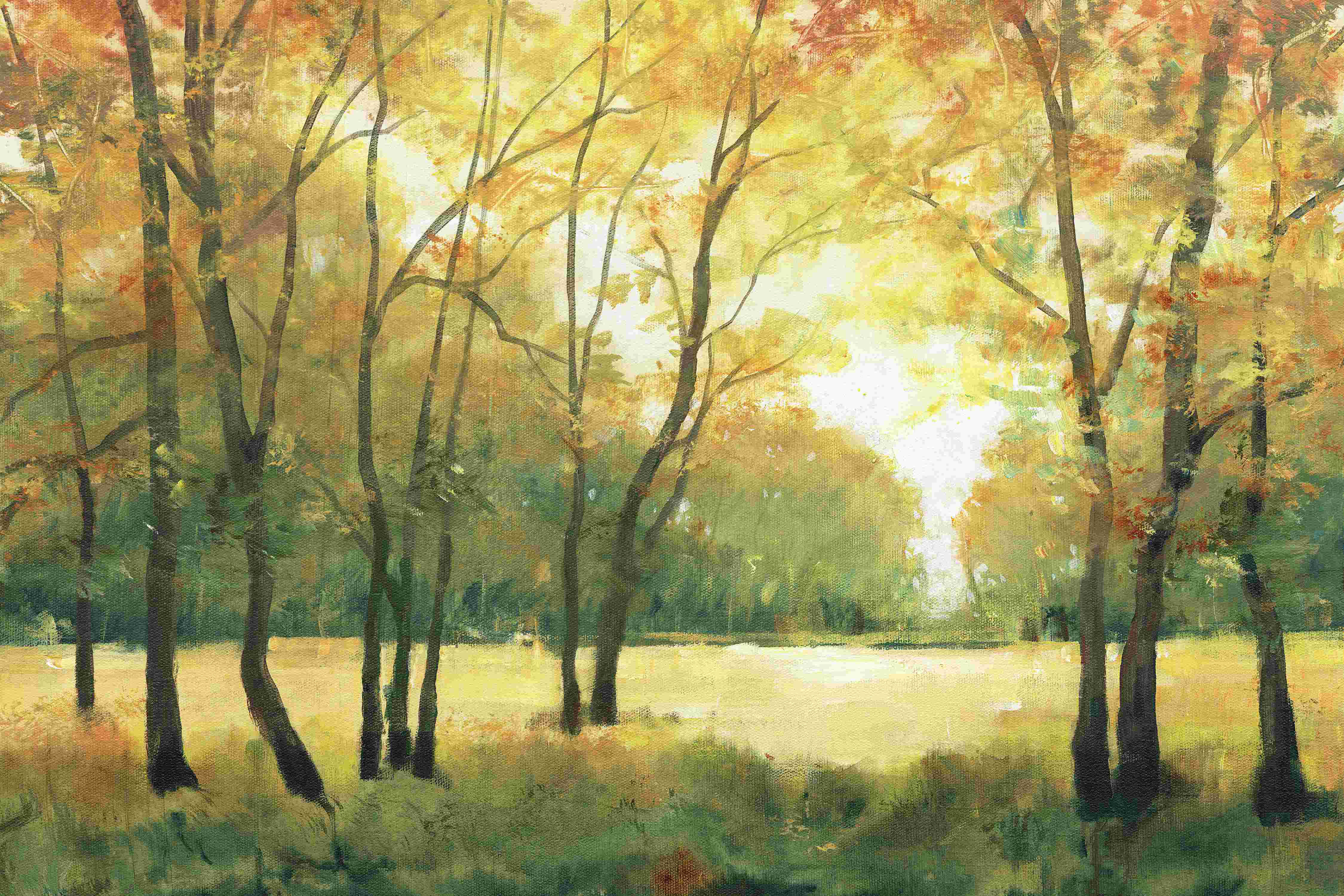 Winston Porter Fall Retreat II by Tim OToole - Wrapped Canvas Print ...