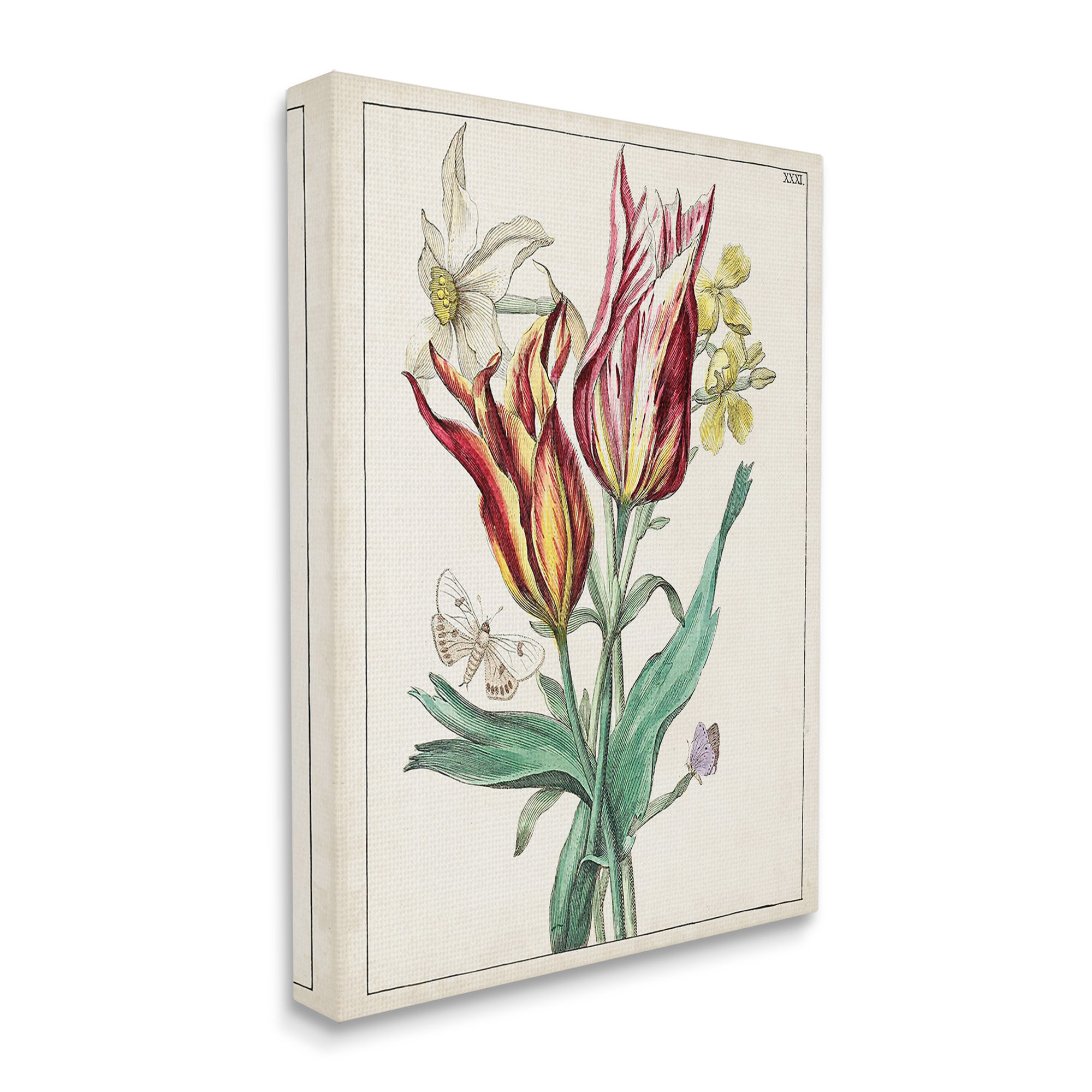 Winston Porter Tulips & Moths Study Canvas Wall Art Design By World Art ...
