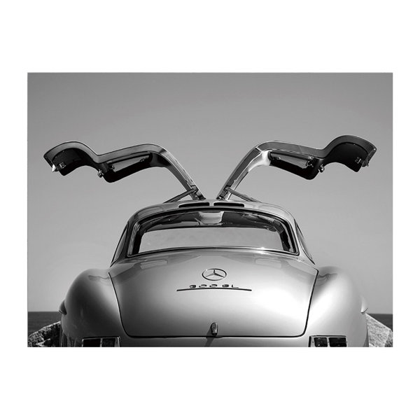 Rosdorf Park 63x47 Luxury Car Tempered Glass Car, Gray 47.24"H | Wayfair