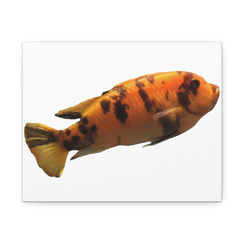 Dovecove Orange Fish - Unframed Illustration on Canvas | Wayfair