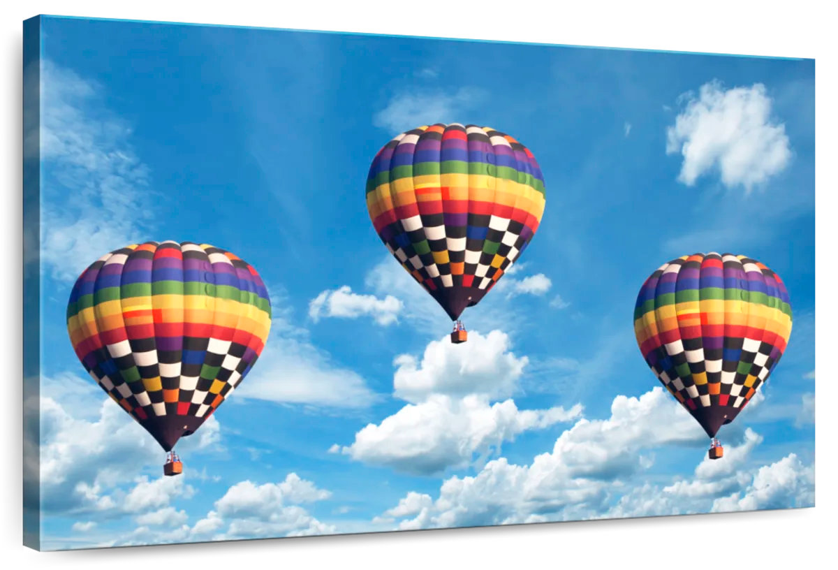 Dakota Fields Triple Hot Air Balloons | Wayfair