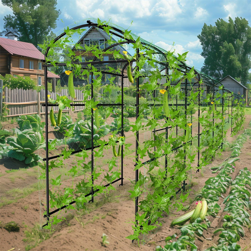 Arlmont & Co. Outdoor Garden Arch Trellis For Climbing Plant Path Frame ...