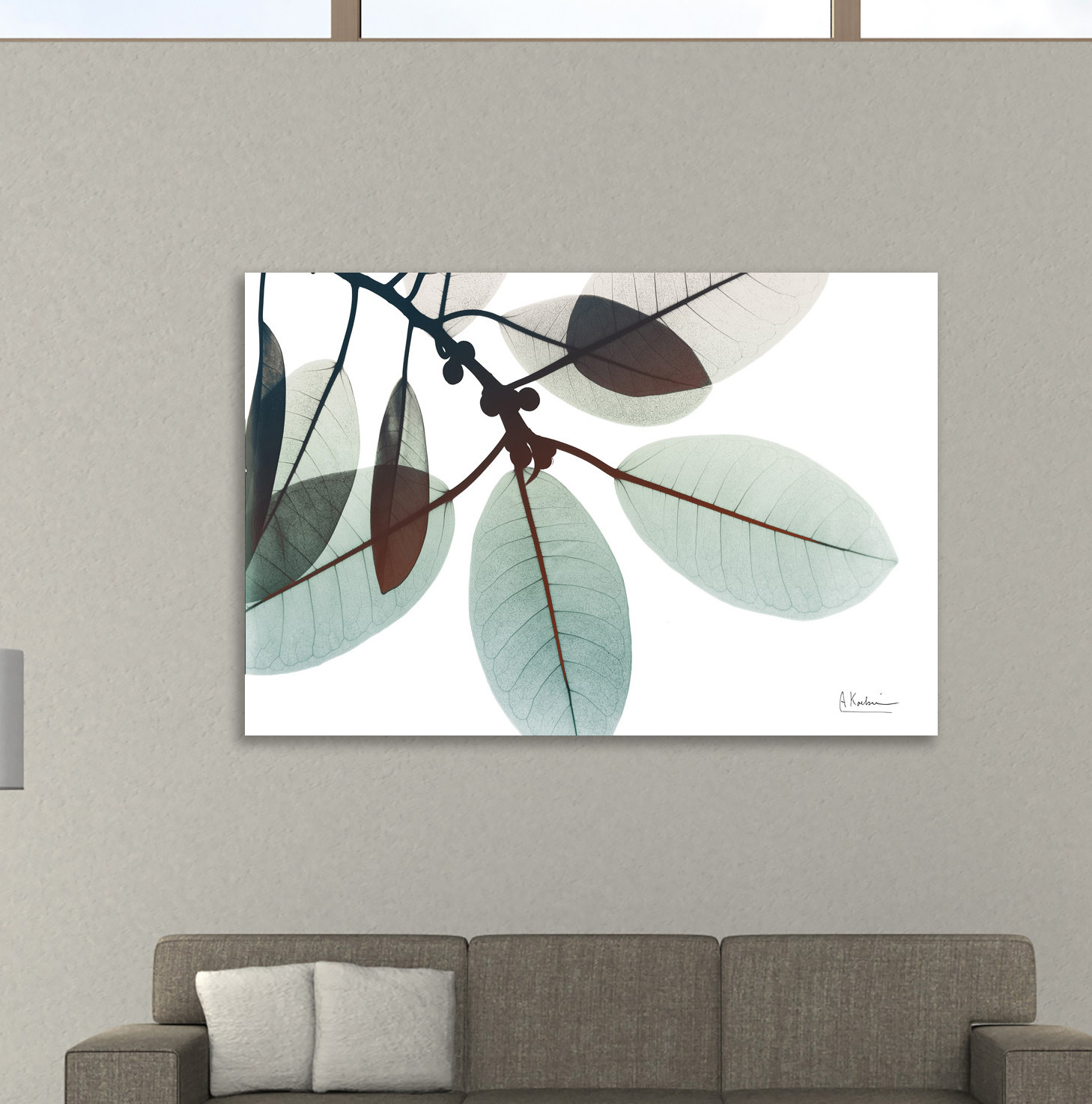 Latitude Run® "Desirable Involucrata 1" Gallery Wrapped Canvas By ...