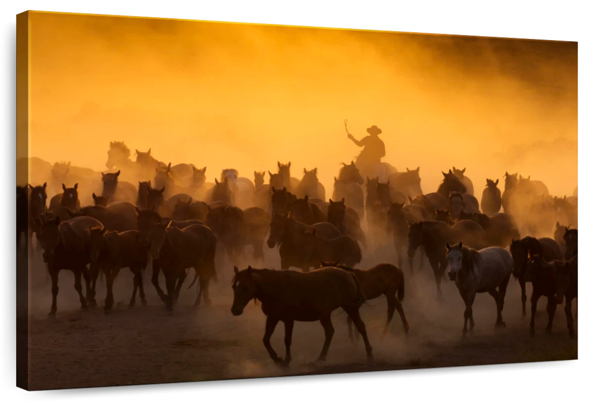 Elephant Stock Herding Horses | Wayfair