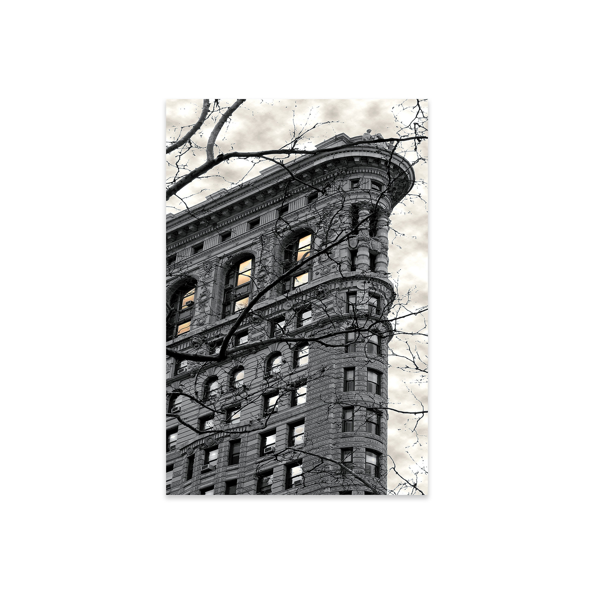 Ebern Designs Flatiron Building On Plastic/Acrylic by Susan Jill ...