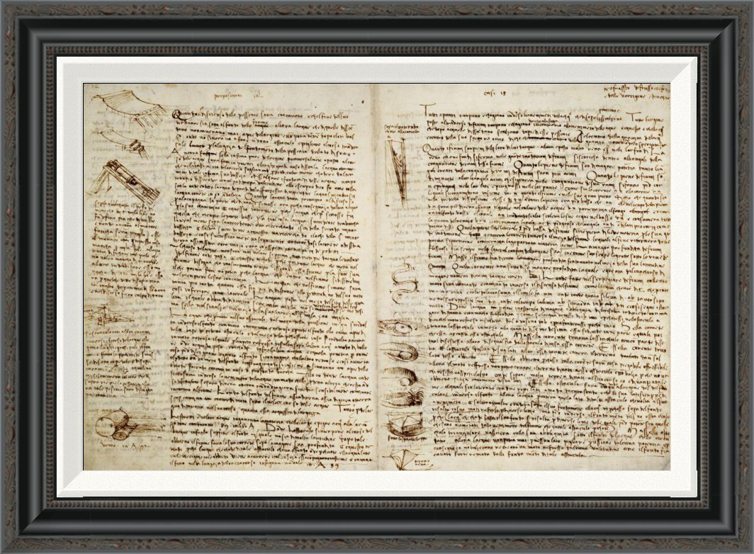 Vault W Artwork The Codex Hammer by Leonardo Da Vinci - Picture Frame ...