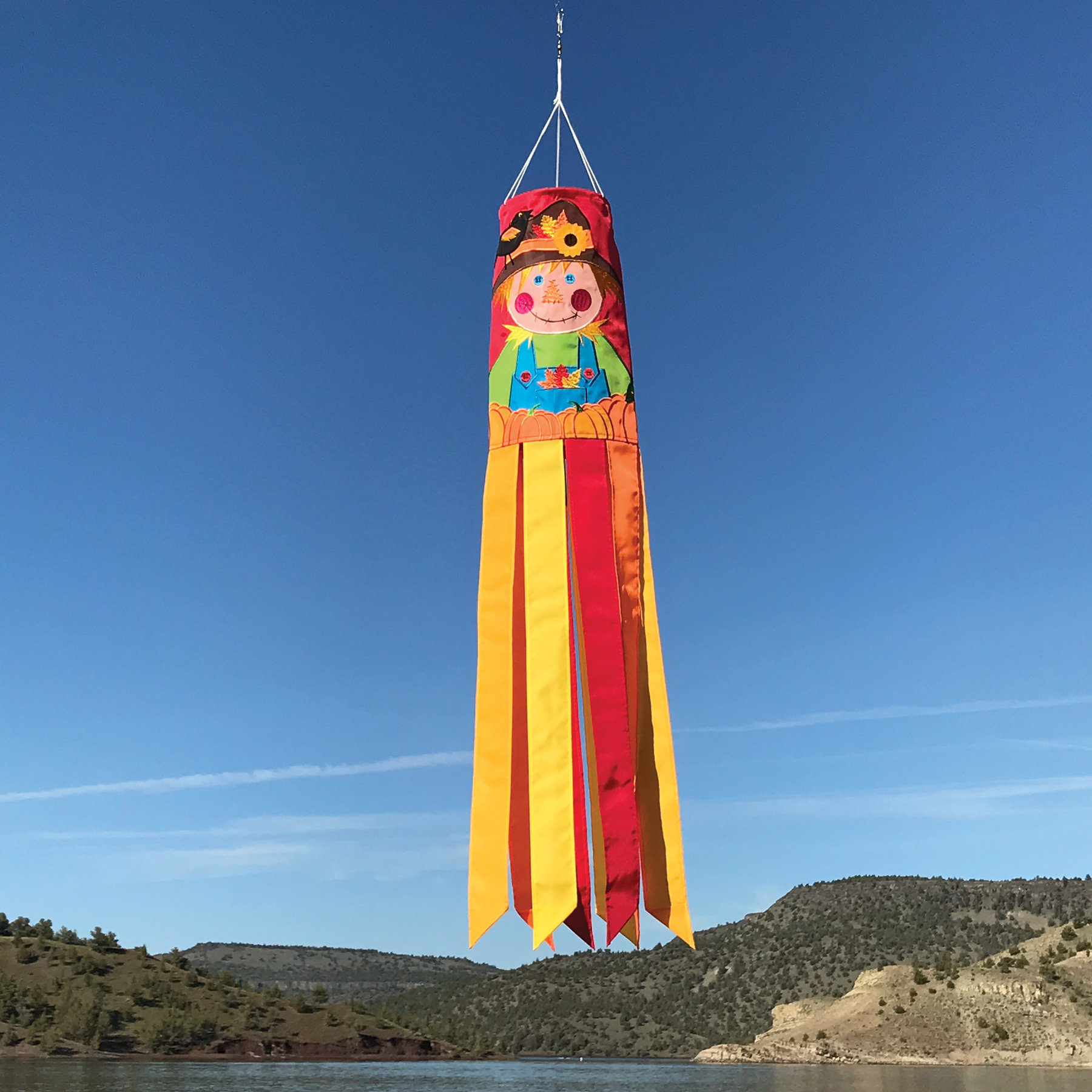 August Grove® Scarecrow 40" Windsock | Wayfair