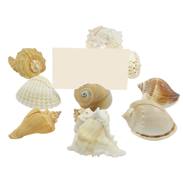 Rosecliff Heights Shell Place Card Holder | Wayfair
