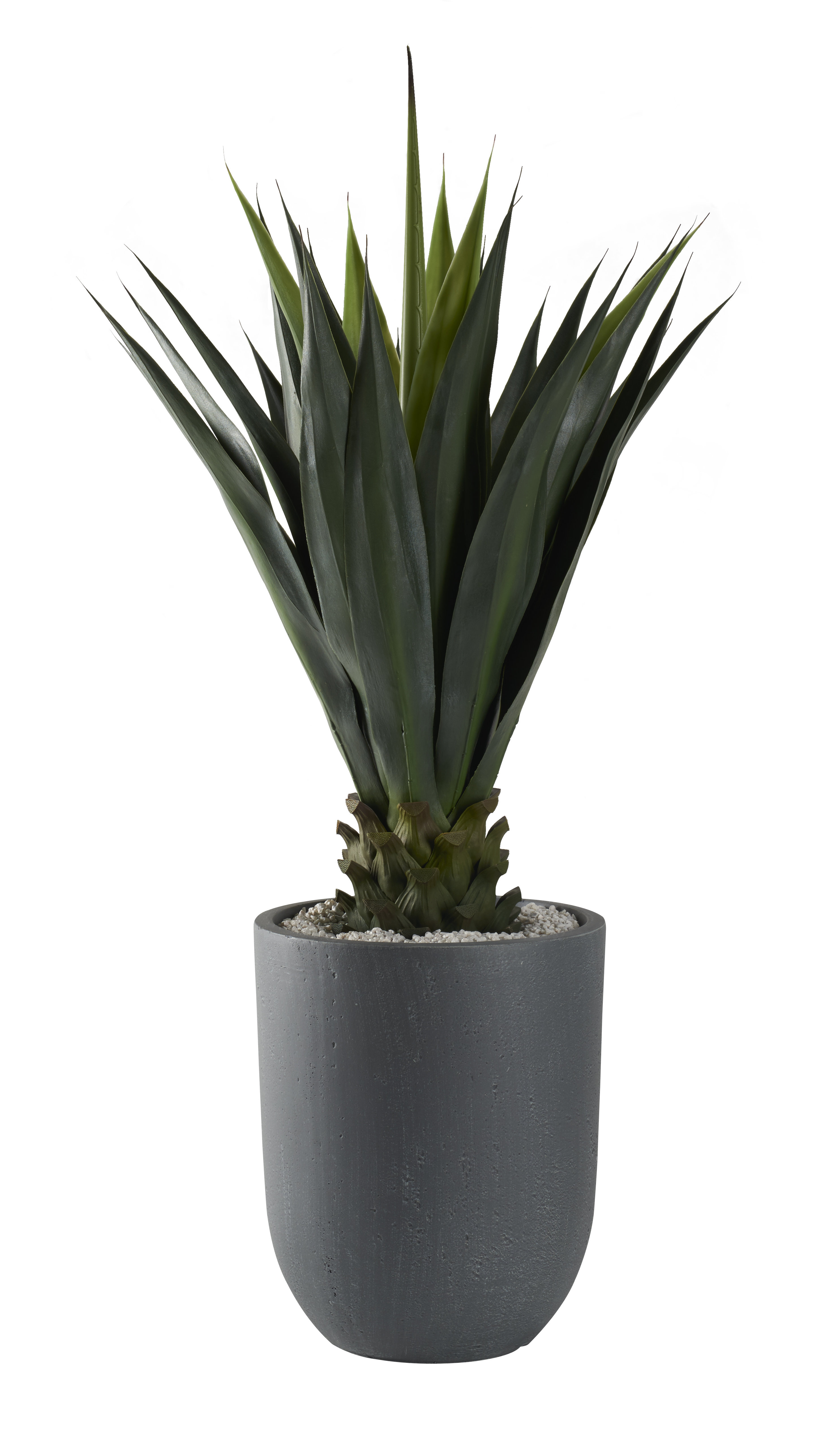 Primrue 50" Jumbo Agave Plant In Round Planter - Wayfair Canada