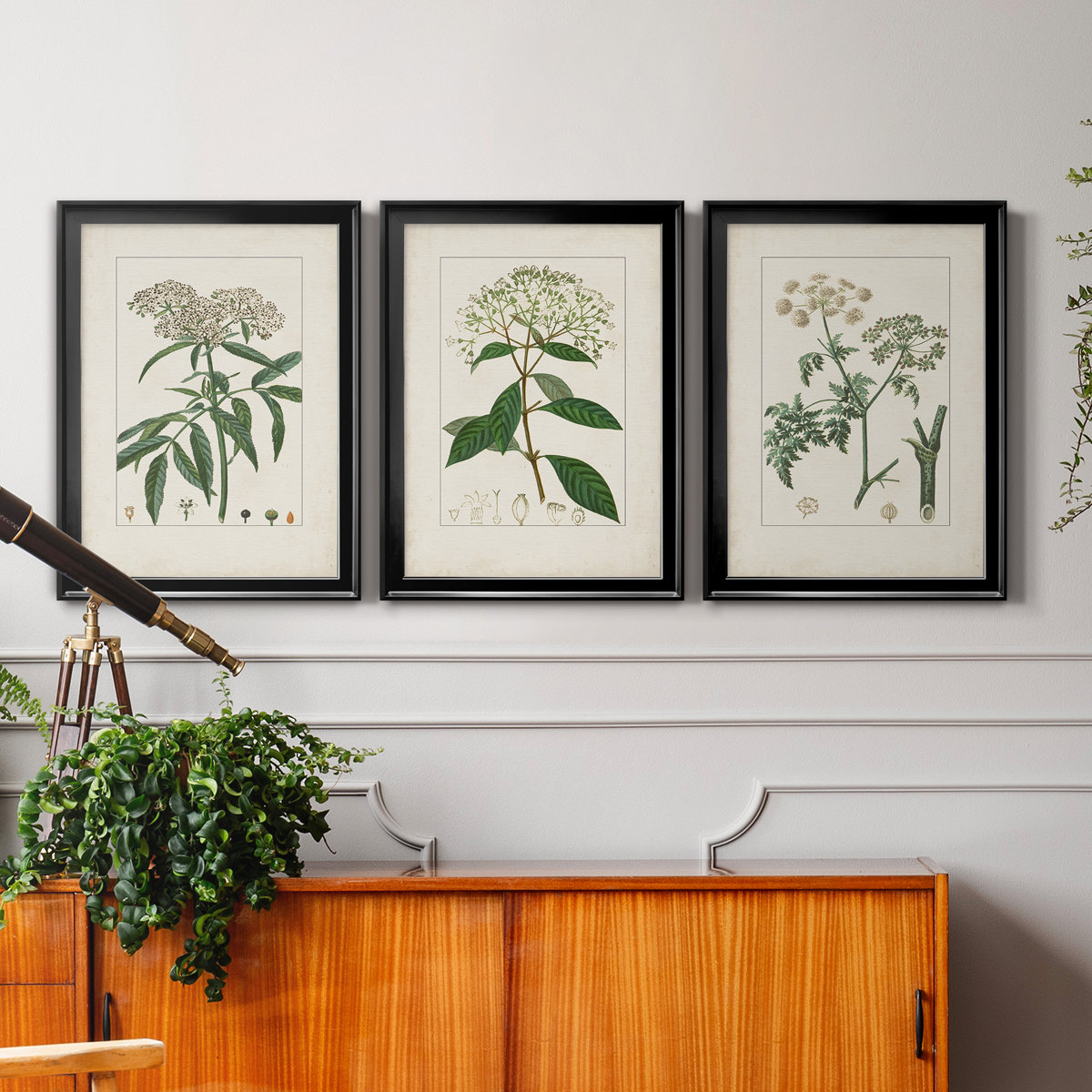 Rosalind Wheeler Antique Turpin Botanical VII - 3 Piece Picture Frame ...