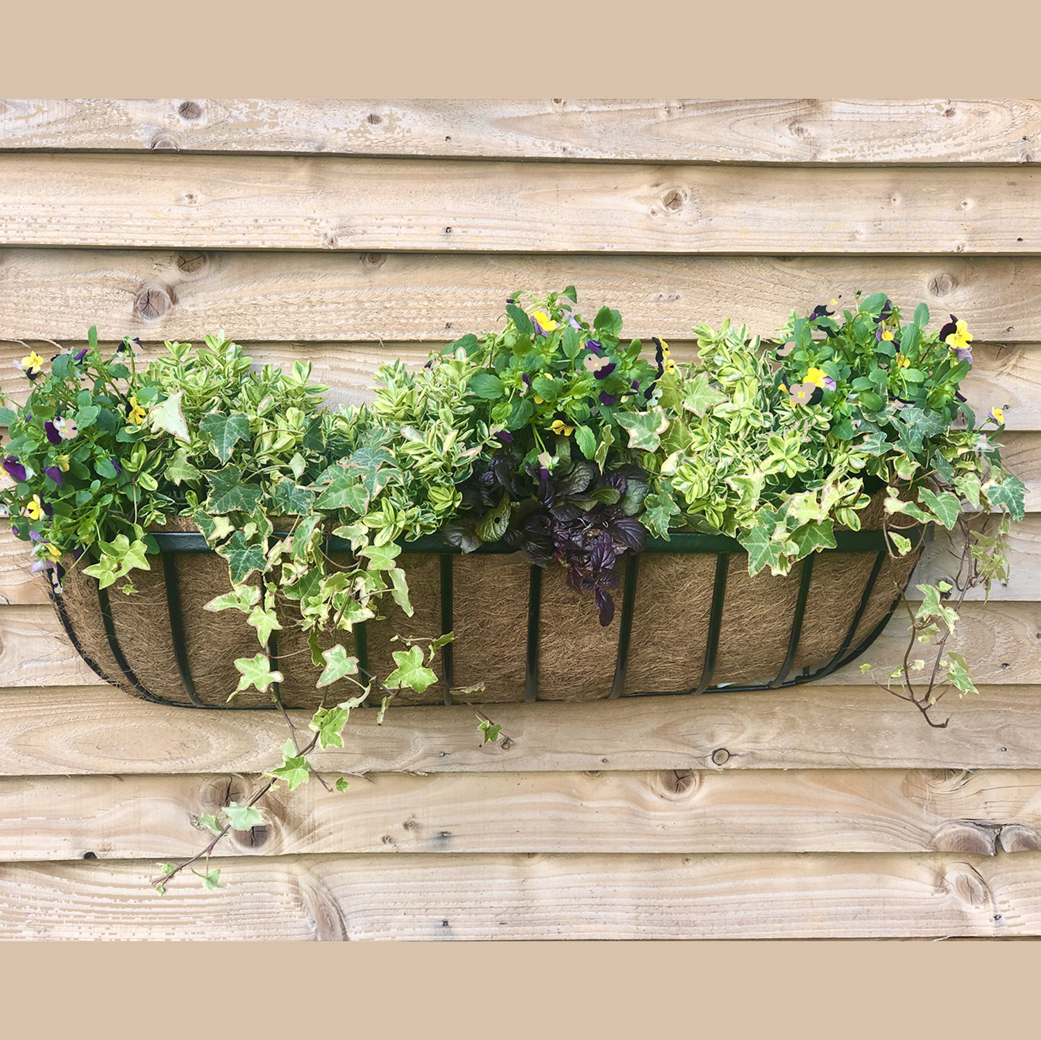 August Grove® Cambridge Premium Wall Trough with Coco Liner – 24? | Wayfair