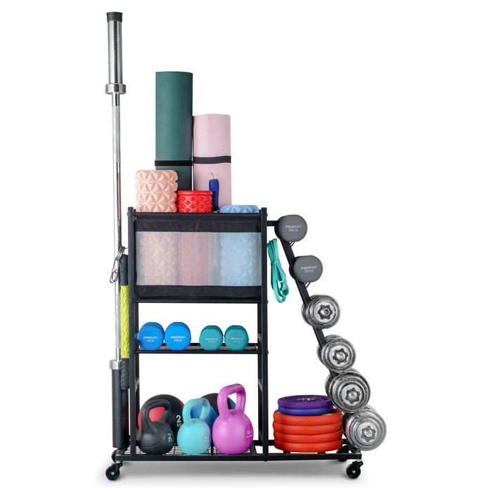 WFX Utility™ Metal Freestanding Multi-Use Sports Rack & Reviews | Wayfair