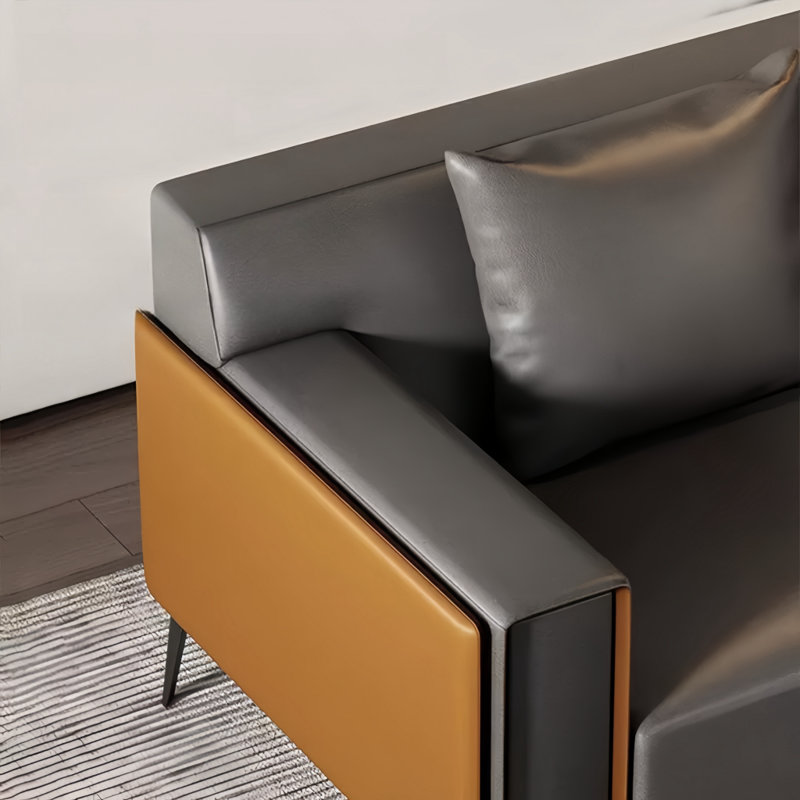 Danbenla design Light luxury sofa | Wayfair