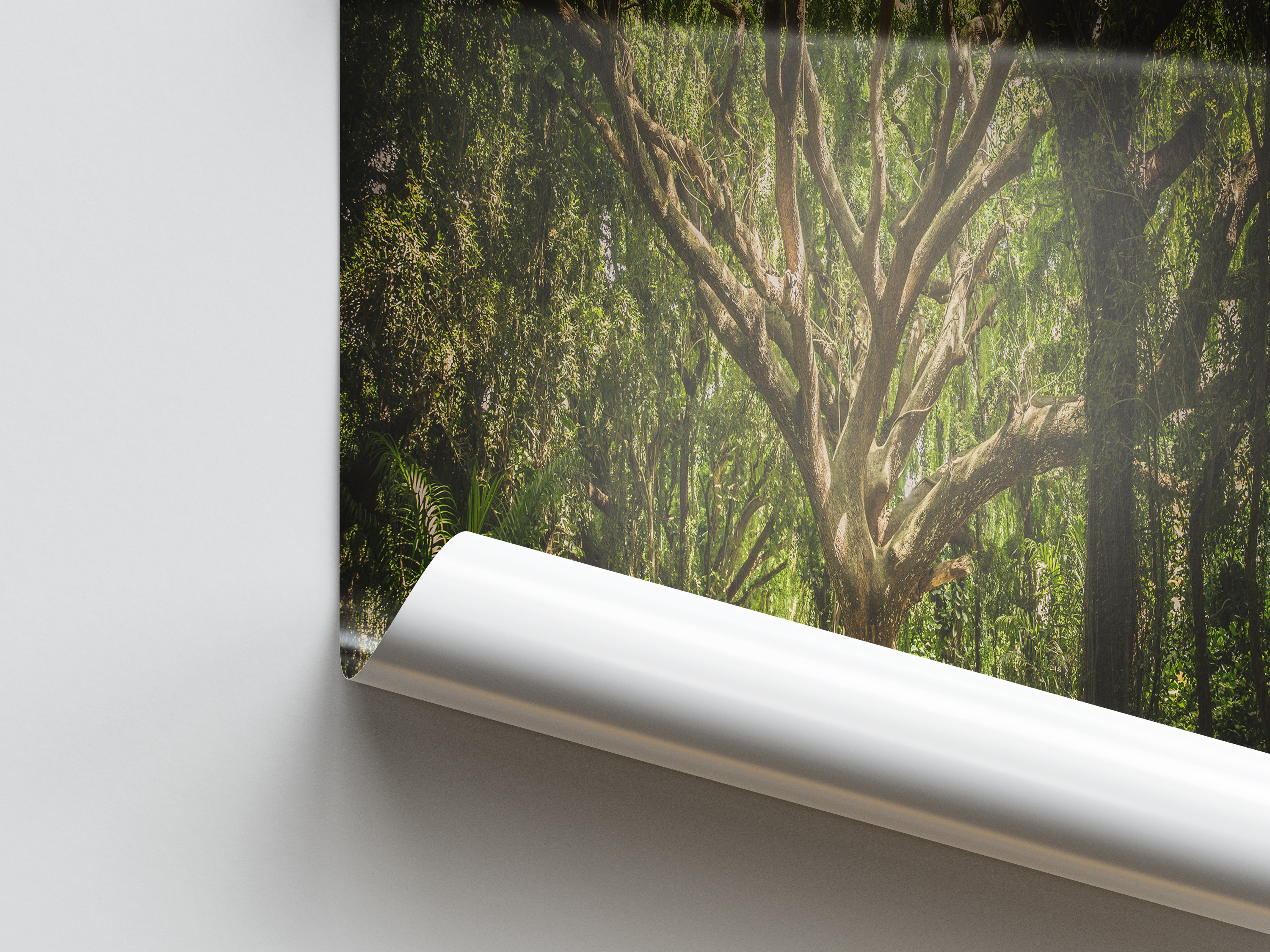 Millwood Pines Nature Landscape Canvas Art, View Artwork, Landscape ...