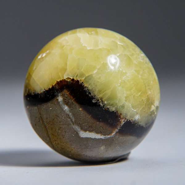 Astro Gallery of Gems Genuine Polished Septarian Palm Stone | Wayfair